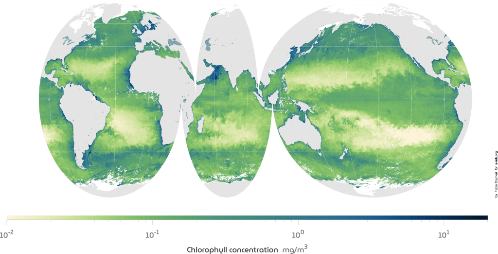 Chlorophyll concentration - s-Ink · from source to ink