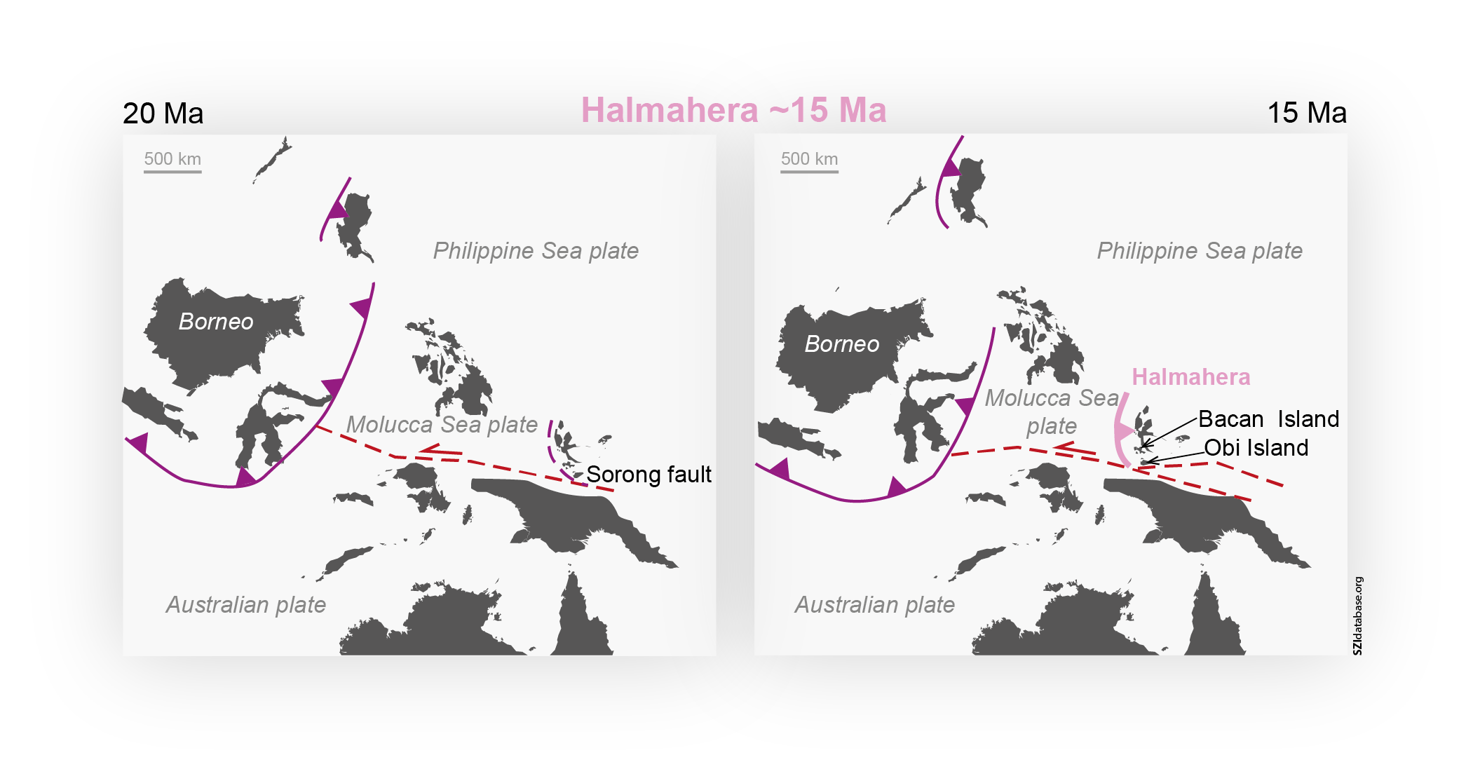 Halmahera (East Molucca) subduction zone initiation - Accessible ...